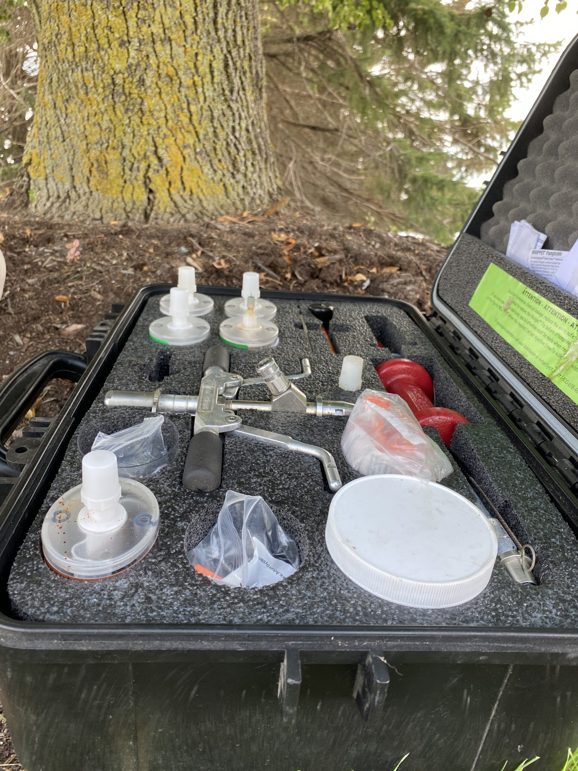 Sick Trees? Direct Injection for Healthier Trees - Landmark Landscapes, Inc