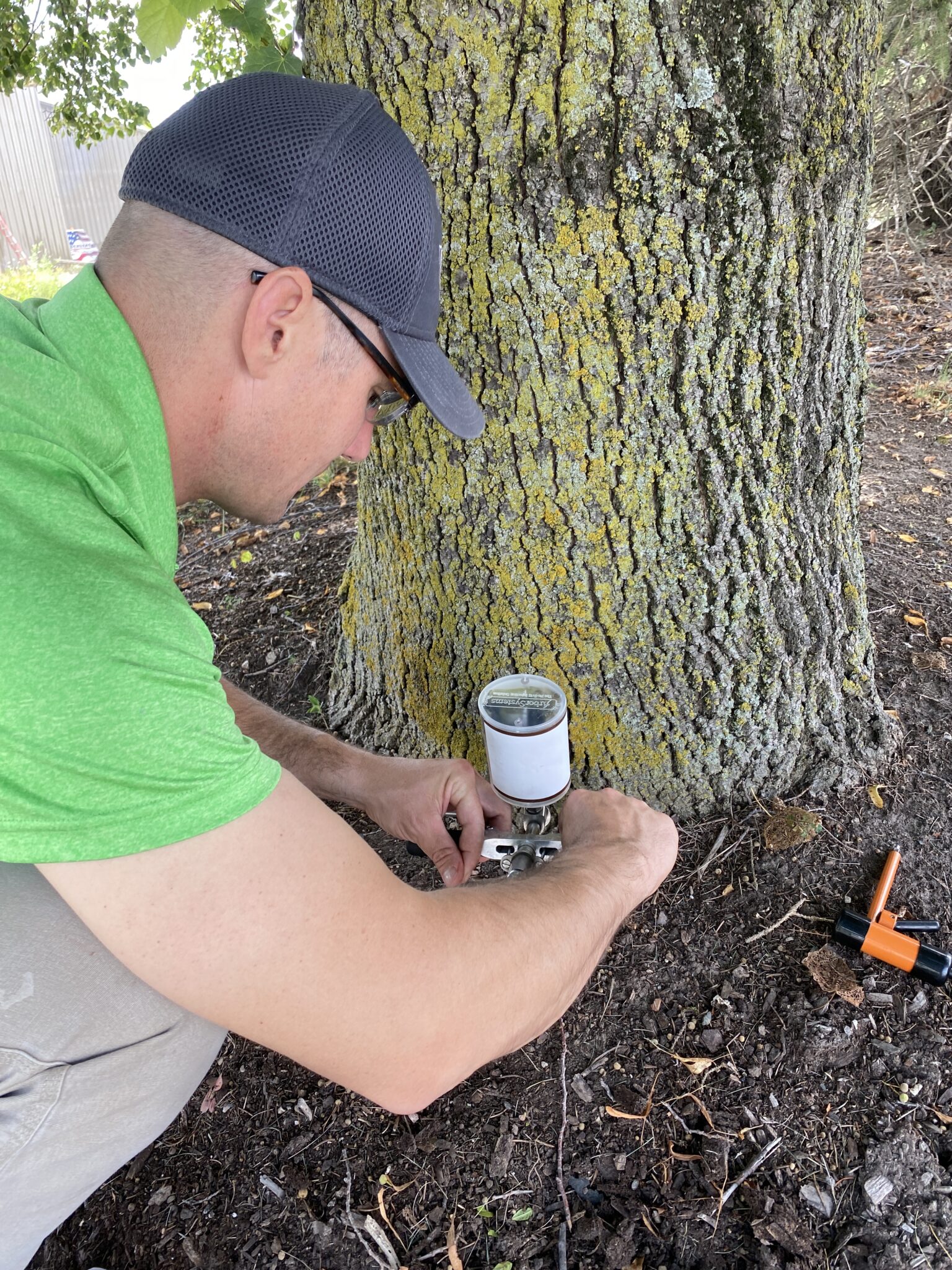 Sick Trees? Direct Injection for Healthier Trees - Landmark Landscapes, Inc