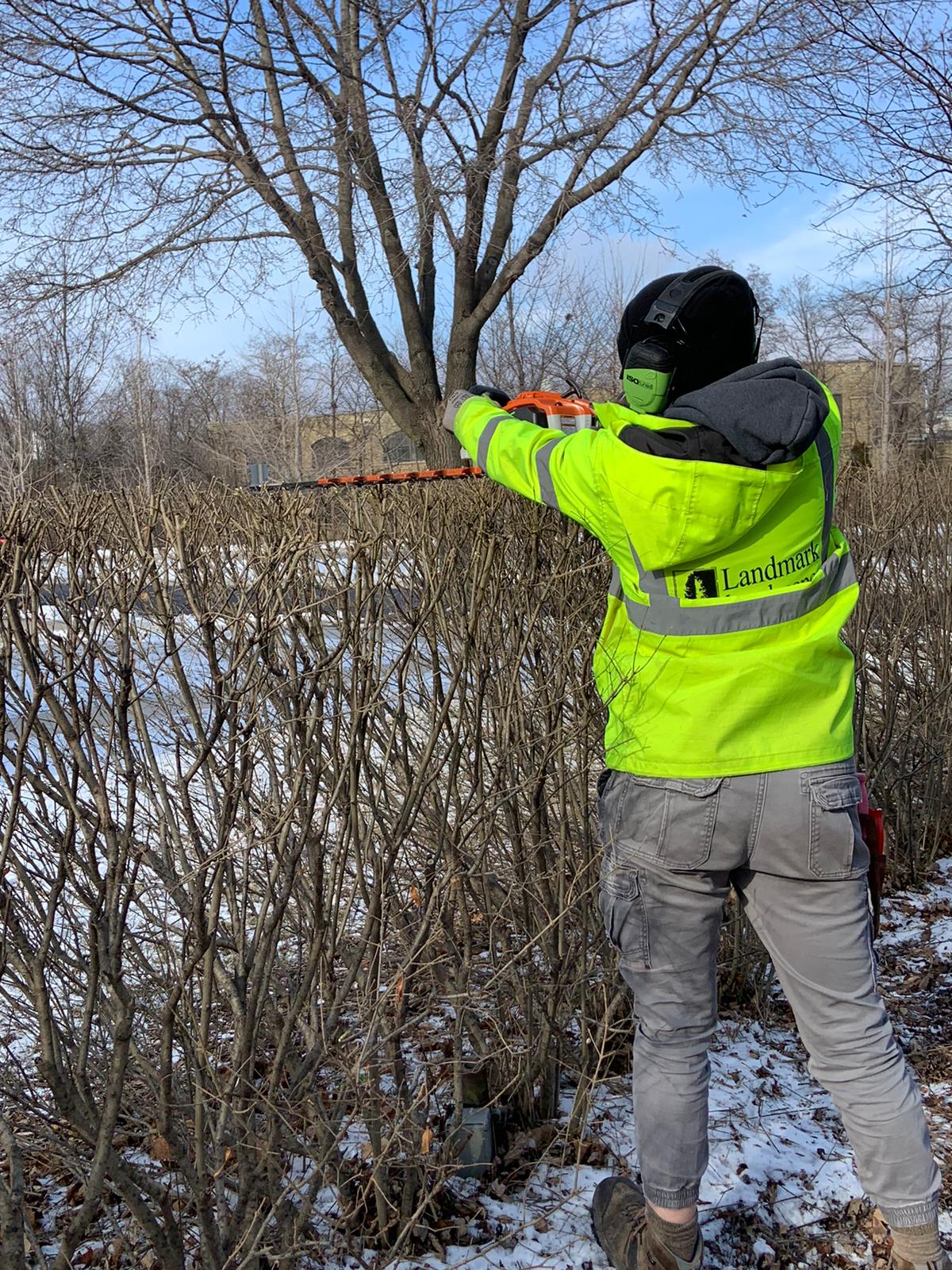 Six Benefits of Winter Pruning Trees and Shrubs - Landmark Landscapes, Inc