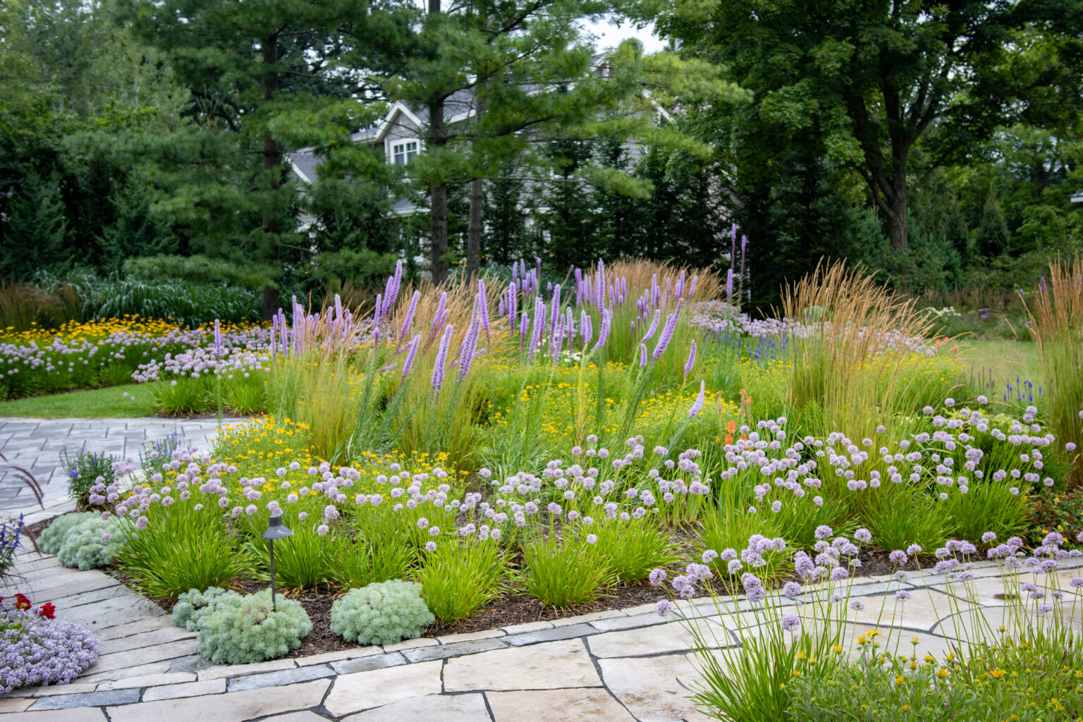 Dutch-wave Perennial Design Excellent for the Wisconsin Landscape ...