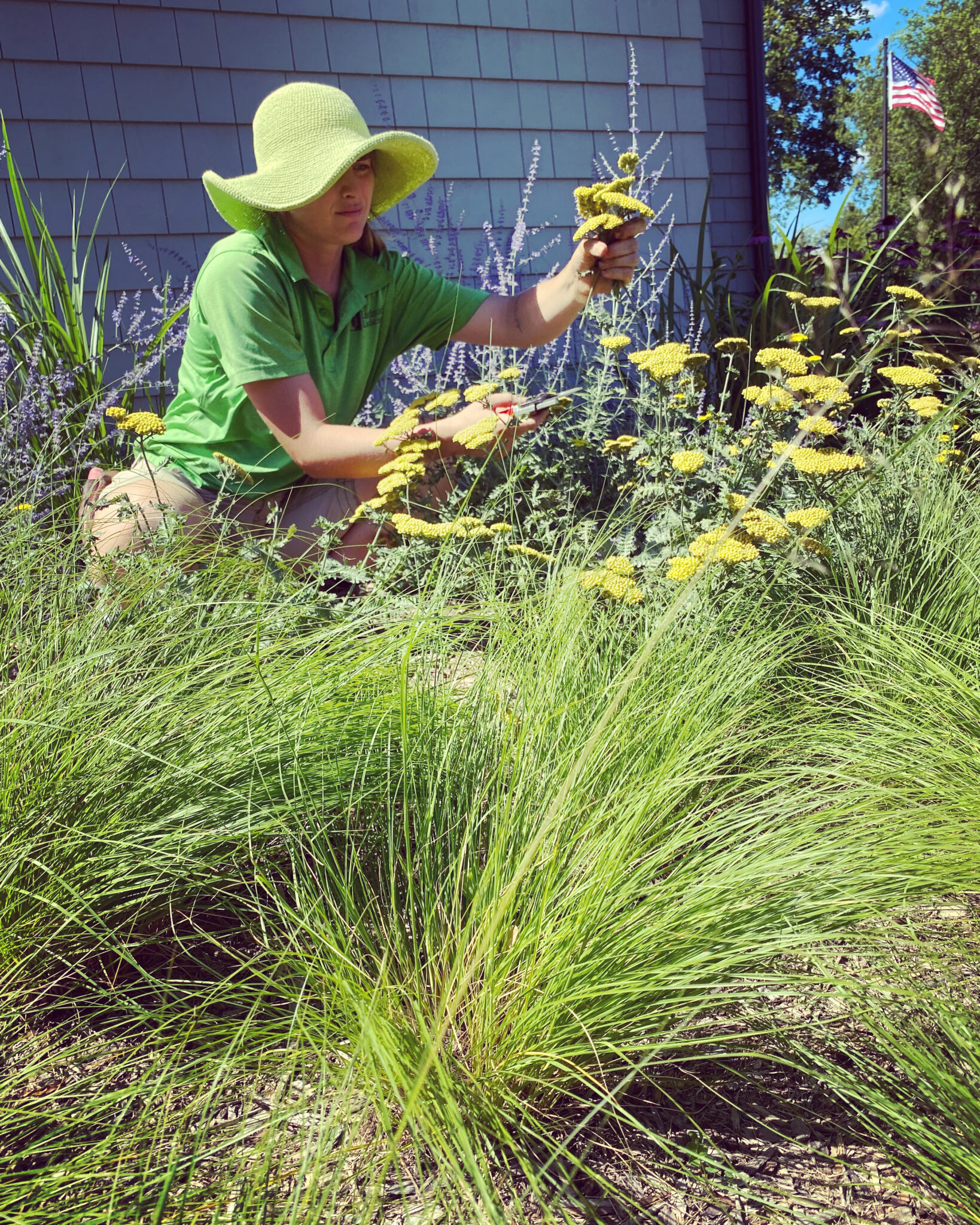 Total Property Care: A Seamless Solution for Year-Round Landscape ...