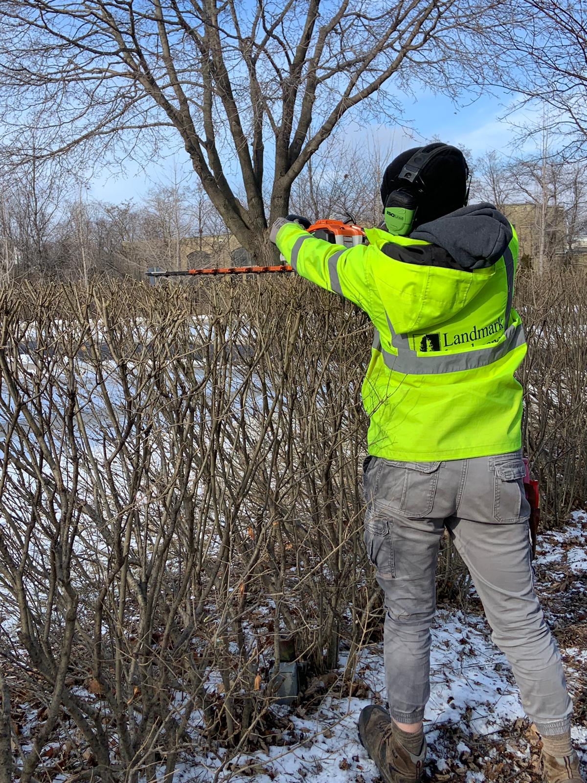 Benefits of Winter Pruning - Landmark Landscapes, Inc