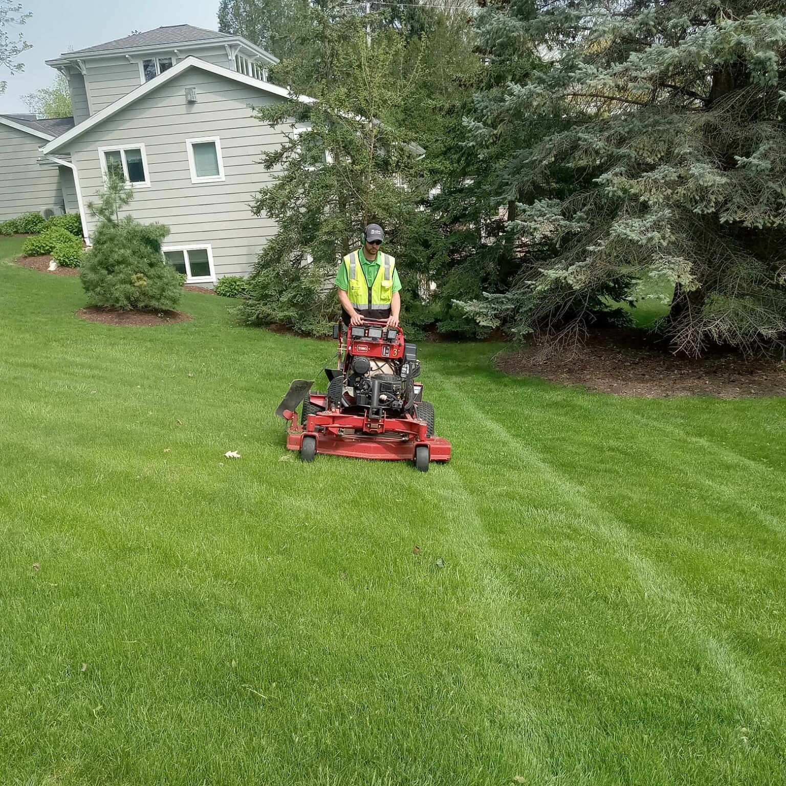 Care Instructions for Your Lawn After Slit Seeding and Aeration ...