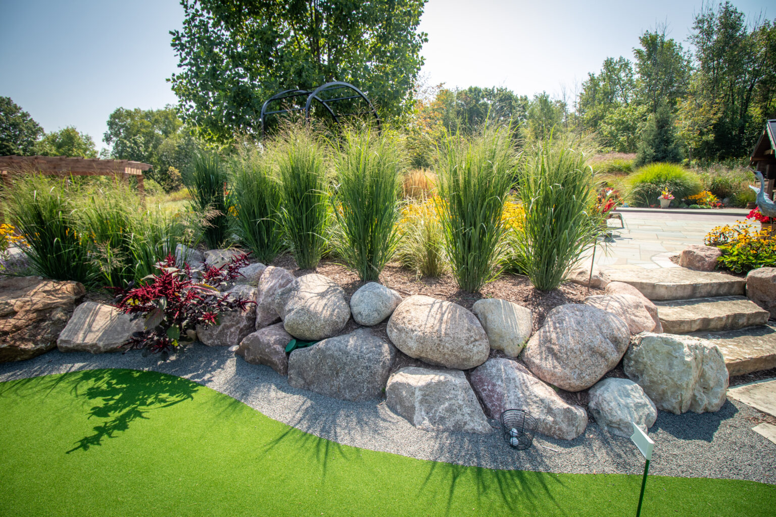 Northwind Switch Grass: A Versatile and Hardy Ornamental Grass ...