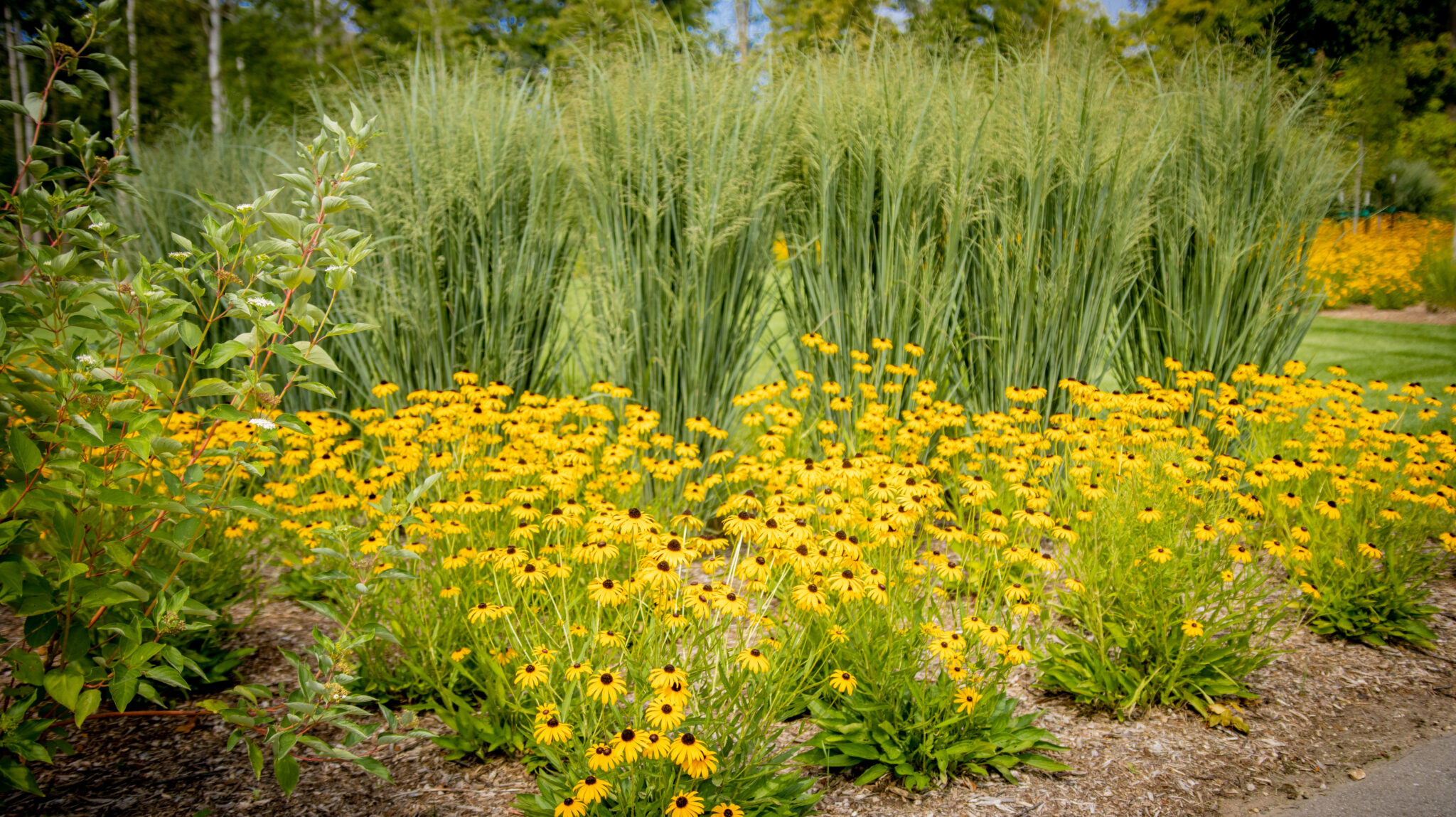 Total Property Care: A Seamless Solution for Year-Round Landscape ...