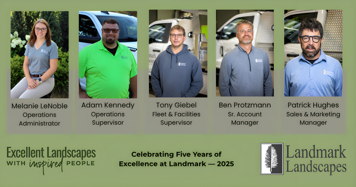Honoring Five Years of Dedication: Celebrating Our 2025 Landmark ...